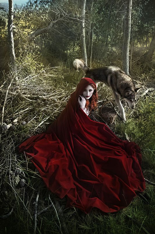 Le petit chaperon rouge